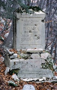 ZABORAVLJENI BOSANSKI GRB I FES — Bosnjaci.Net