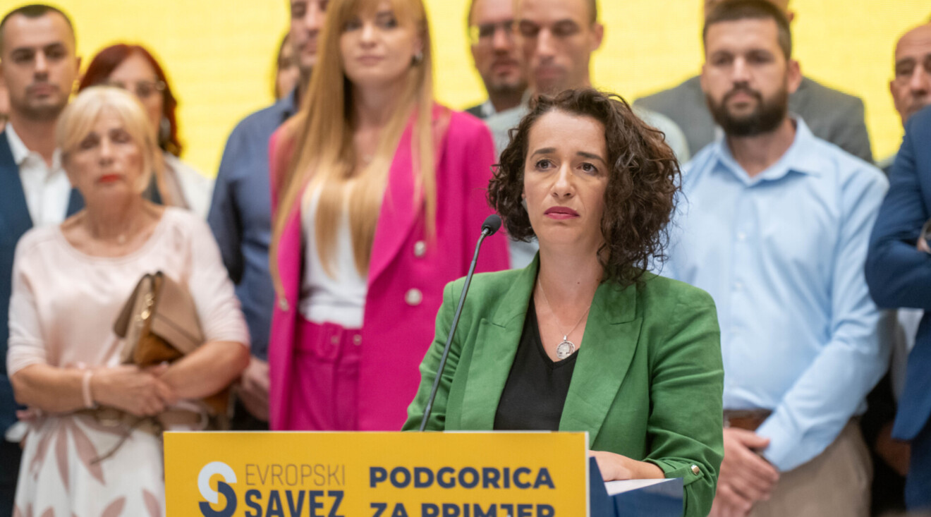 VIZIJA SNAGE ŽENE-MELITA RASTODER-LJAJIĆ — Bosnjaci.Net